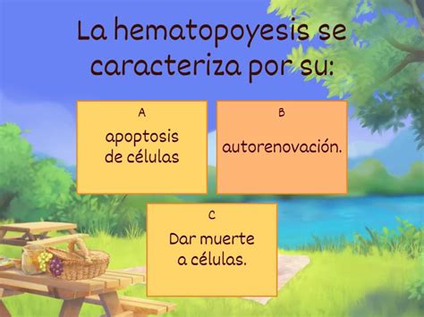 Hematopoyesis Quiz