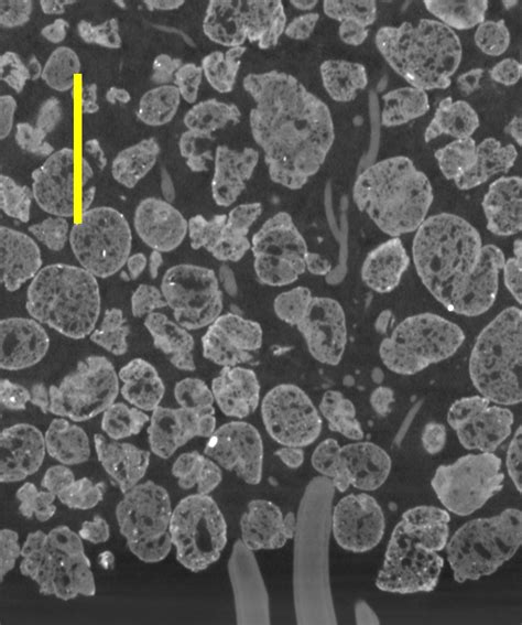 Segmenting Root Systems In X Ray Computed Tomography Images Using Level Sets DeepAI