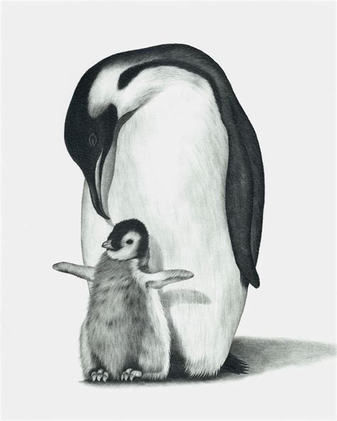Realistic Penguin Drawing