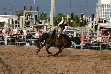 Bareback Riding