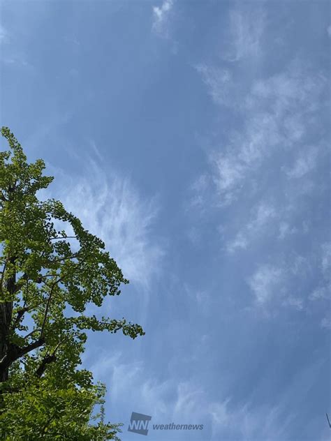 少し雲のある青空 今朝もひんやり お日さ 東京都練馬区 ねぼすけ ウェザーニュース