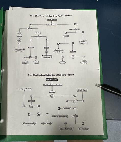 Solved Please Asap Based On This Page I Need To