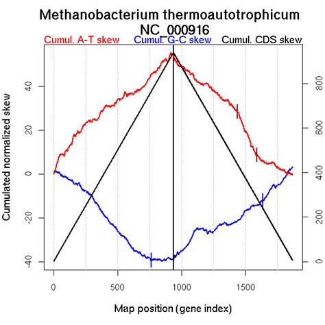 Methanobacterium Thermoautotrophicum
