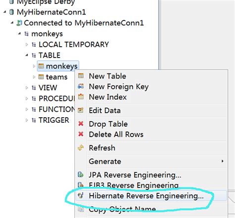 Myeclipse的可视化创建hibernate项目 Csdn博客