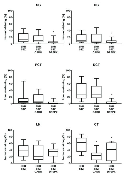Quantitative Analysis Of The Immunostaining Staining Fractional Area Download Scientific