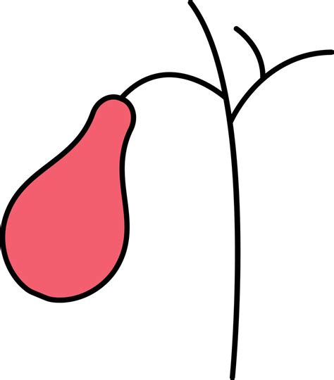 Flat Style Gallbladder Icon In Red And Black Color 24154598 Vector Art