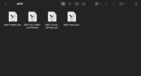 Acpi Error When Trying To Boot Macos Installer Rhackintosh