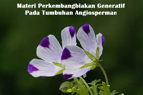 Materi Perkembangbiakan Generatif Pada Tumbuhan Angiospermae