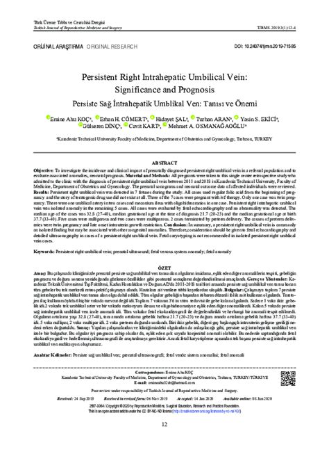 Pdf Persistent Right Intrahepatic Umbilical Vein Significance And