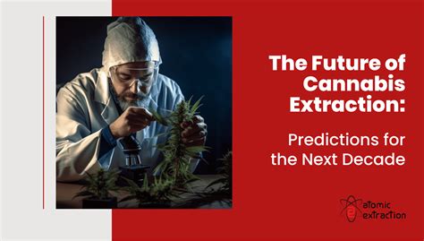 The Future Of Cannabis Extraction Predictions For The Next Decade