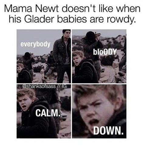 Pin By Spampies On Shows Movies Maze Runner Funny Maze Runner Trilogy Maze Runner Movie