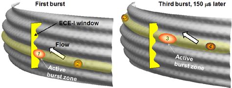 The Phenomenological Model 7 For Download Scientific Diagram