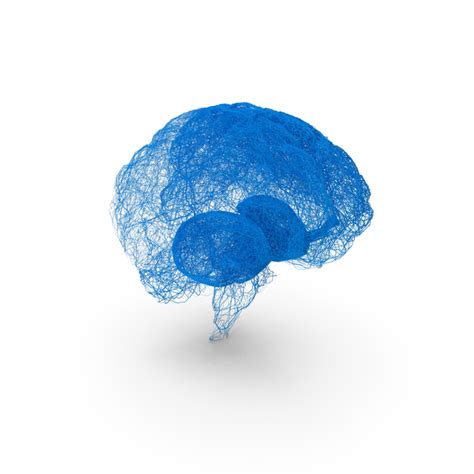 Brain Neural Network 3d Object 2299181521 Shutterstock