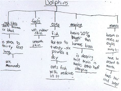 Tree Map Thinking Maps Wiki Fandom