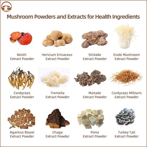 Organic Ganoderma Lucidum Mushroom Extract Lion′s Mane Mushroom