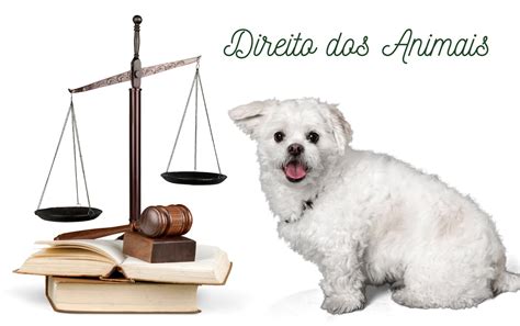 Direito Dos Animais Pet Total Neem