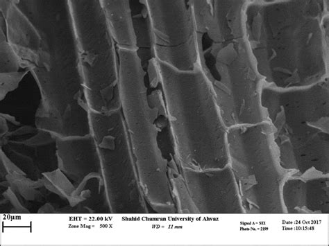 Scanning Electron Micrographs Sem Of Wheat Straw Hydrochar At Optimum Download Scientific