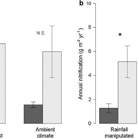 Annual Rates Of A Mineralisation And B Nitrification Rates In Nitrogen Download Scientific