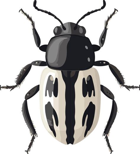 Adorable Cute Simple Weevil Clipart 52238193 Vector Art At Vecteezy