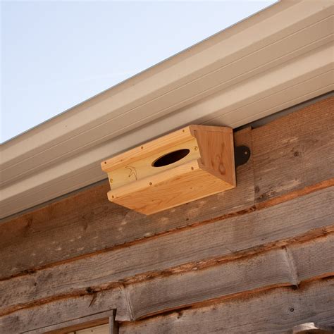 Dan Rouse Designed Swift Nest Box Wildlife World