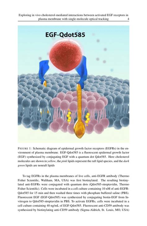 Leadership And Organization Development Journal Template Emerald Publishing