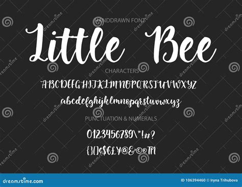 Modern Calligraphic Font Brush Painted Letters Cartoon Vector