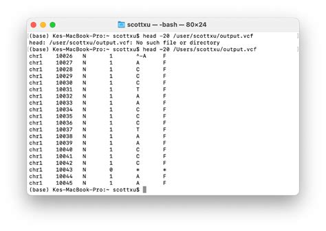 Sam How To Convert A Bam File Into A Vcf File Bioinformatics Stack