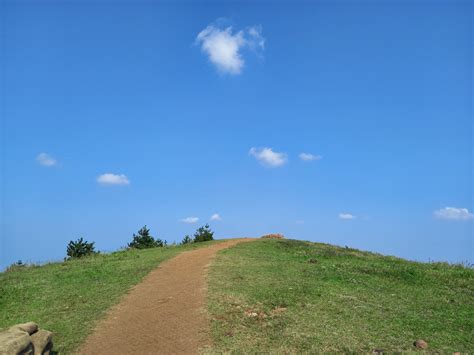 갤러리 제주도의 가을 하늘