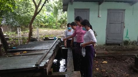 အလုံမြို့နယ် ပြည်သူ့စာကြည့်တိုက်၌ ခြင် ဆေးဖျန်းခြင်းနှင့် အဘိတ် ဆေးခတ်ခြင်း လုပ်ငန်းများ ဆောင်ရ