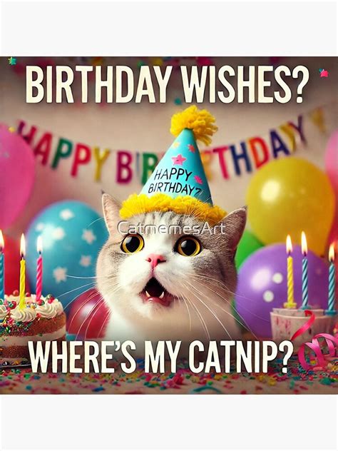 Birthday Wishes Wheres My Catnip Funny Birthday Cat Meme Sticker
