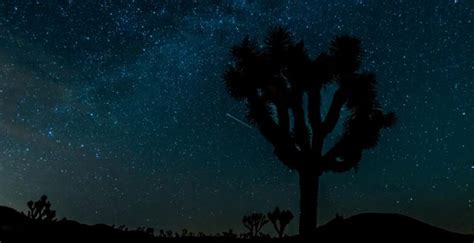 Complete Stargazing Joshua Tree Guide Where To Go Best Times Gear