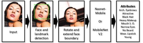 Proposed Attribute Estimation Pipeline The Face And Landmark Detection Download Scientific