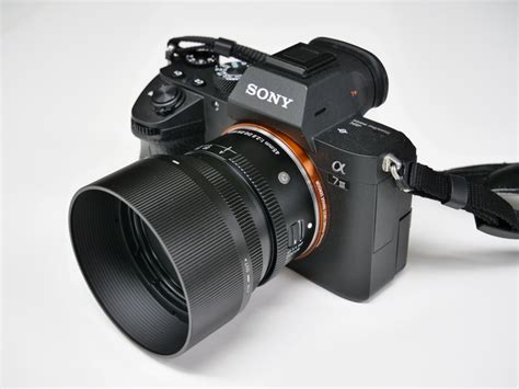 Mm F Dg Dn Shasha