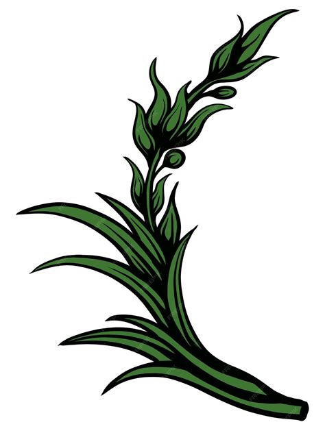 Premium Vector Vector Flower And Twig Design