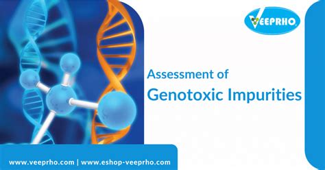 Assessment Of Genotoxic Impurities Veeprho