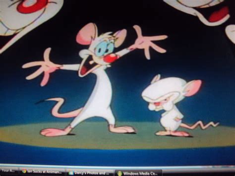 Pinky And The Brain Animaniacs Wiki Fandom