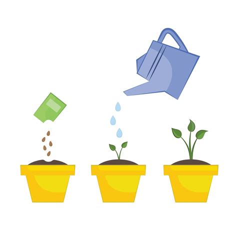 O Processo De Cultivo De Plantas Jardim E Flores Jardinagem Orgânica