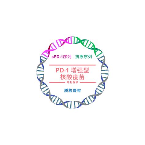 Pd 1 增强型dna疫苗技术平台 科技immuno Cure Biotech Limited