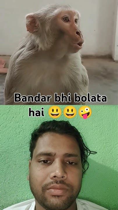 Bandar 🤣🤣funnyvideo Shortvideo Comedyvideo Surajroxfunnyvibeo