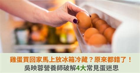雞蛋買回家馬上放冰箱冷藏？原來都錯了！吳映蓉營養師破解4大常見蛋迷思