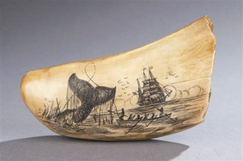 Scrimshaw Scrimshaw Art Whale