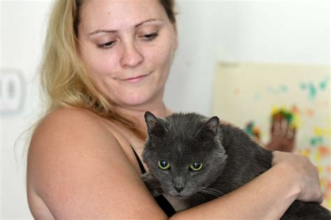 Cat Missing From Corinth For 4 Years Turns Up 36 Miles Away