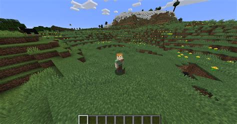 What Are The Best Minecraft Seeds IONOS CA