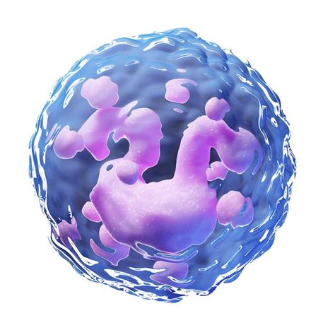 Medical Illustrations Sciepro