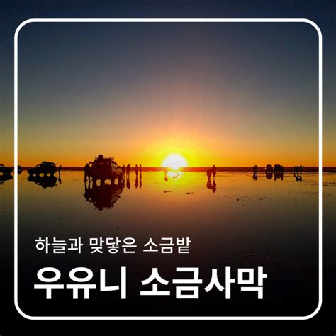 여자혼자 남미여행 볼리비아 우유니 소금사막 데이 선셋 투어 후기 네이버 블로그