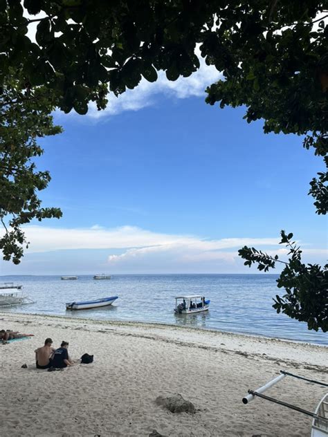 6박 8일 세부보홀 보홀 현지 해상투어 고래상어발리카삭 호핑 알로나비치 삐끼 가격 네이버 블로그