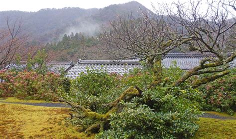 このたびのたび・明通寺・国宝・本殿・三重塔・福井県小浜市