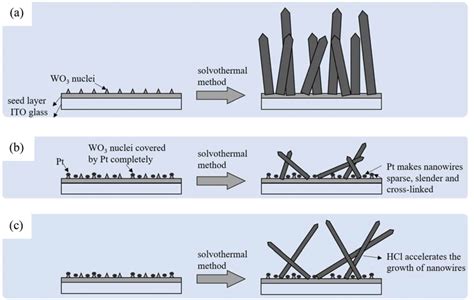 A Schematic Illustration Of The Formation Process For Wo3 Nanowires