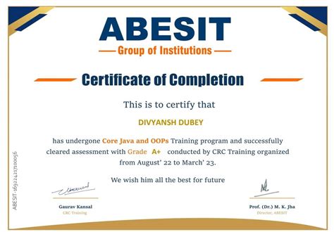 Divyansh Dubey On Linkedin Abesit Crctraining Javaprogramming Oops Certificateofcompletion…