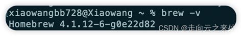 mac 安装 vue3 环境 mac安装vue3 csdn博客